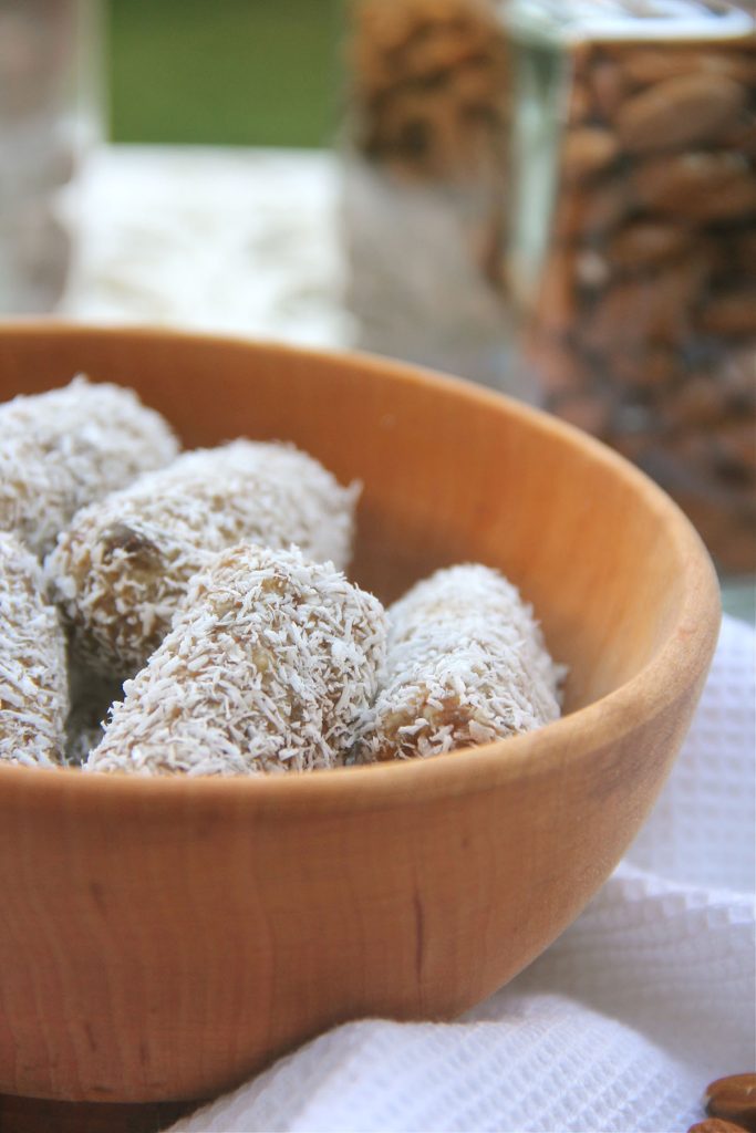 Fruit And Nut Logs – Blended Bites