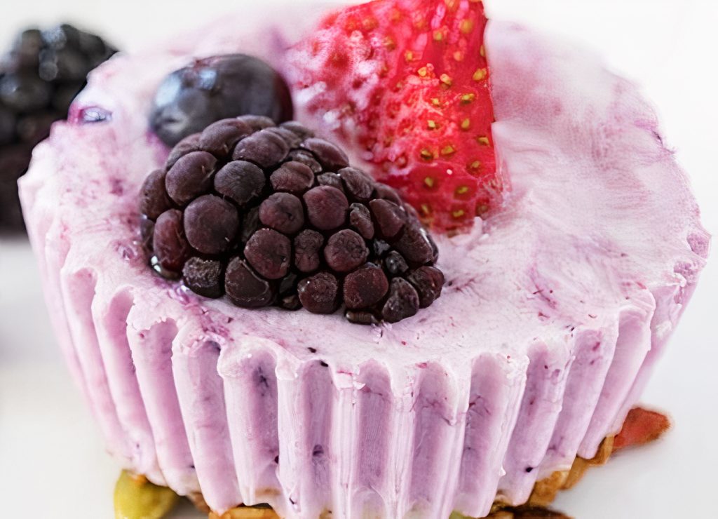 Frozen Yoghurt Fruit Cups – Blended Bites