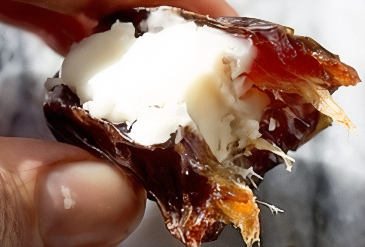 Coconut Butter Stuffed Dates – Blended Bites
