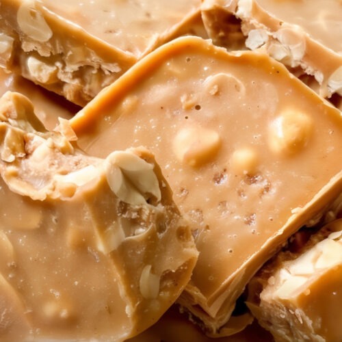 Crunchy Peanut Freezer Fudge – Blended Bites